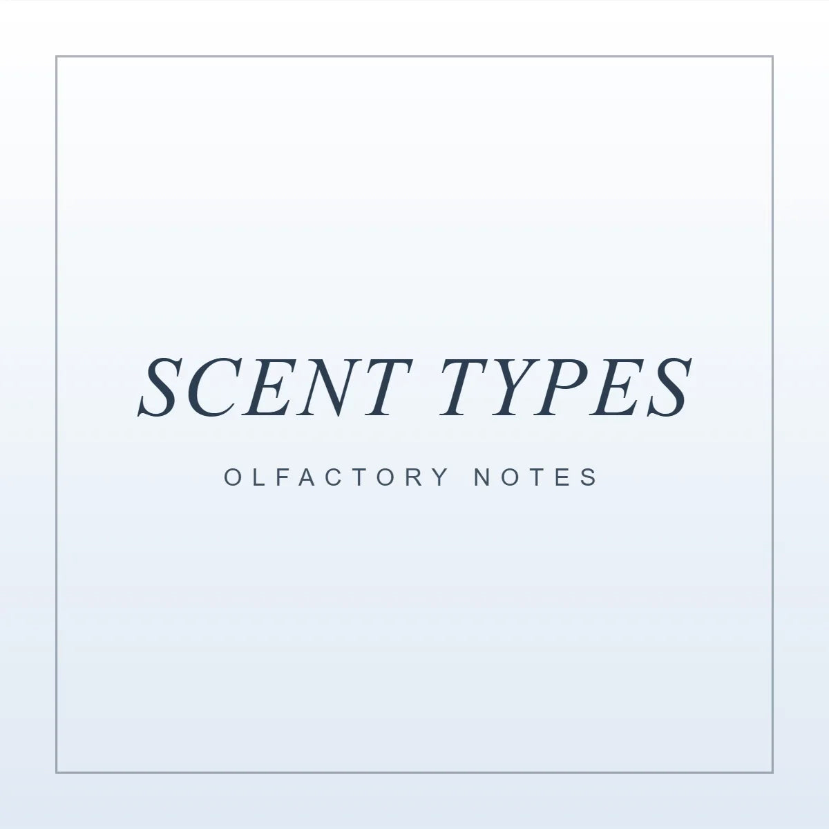 Scent Types | Odosbeauty Perfumes – ODOSBEAUTY